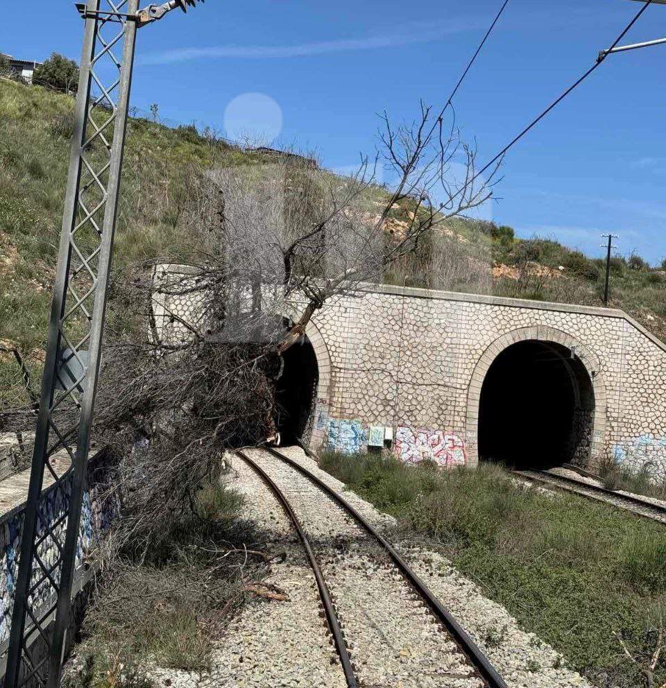 Τρένο από Χαλκίδα για Αθήνα προσέκρουσε σε πεσμένο δέντρο στον Άγιο ...